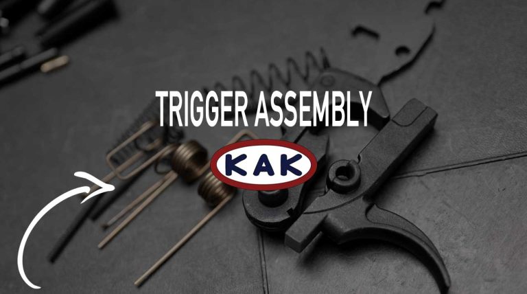 Mastering the Mechanics: Unlocking the Secrets of the AR-15 Trigger ...
